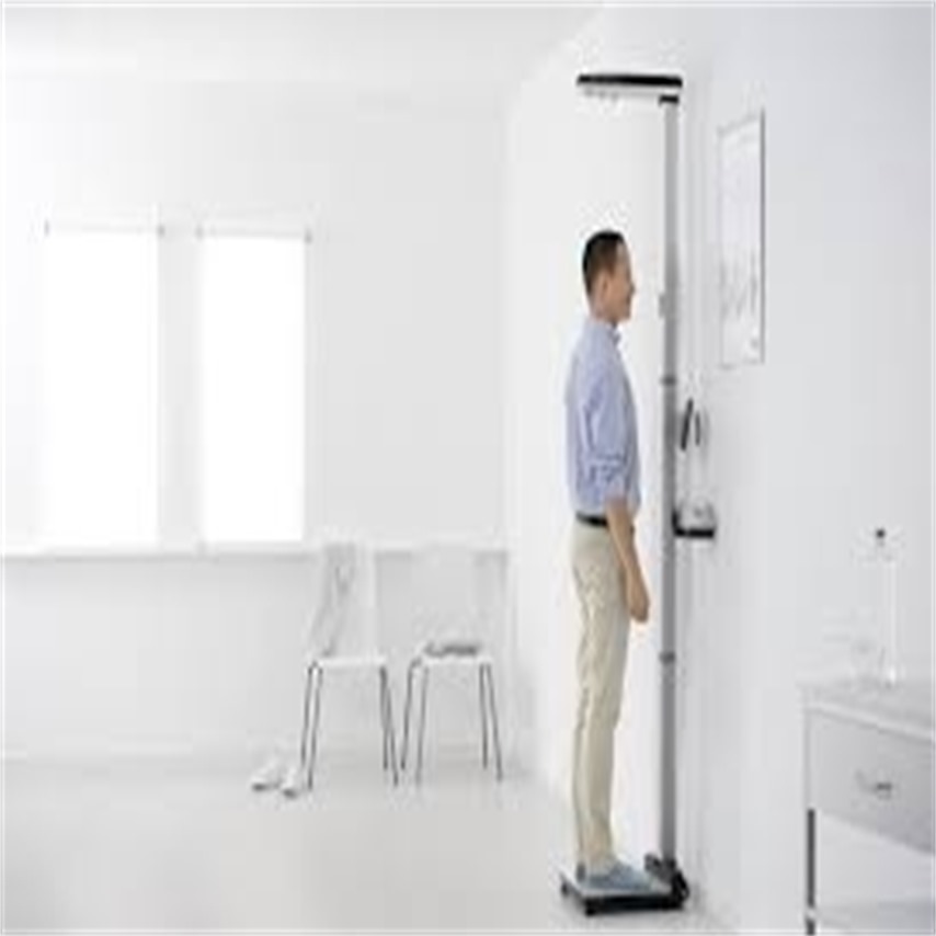 Seca 287 Wireless measuring station