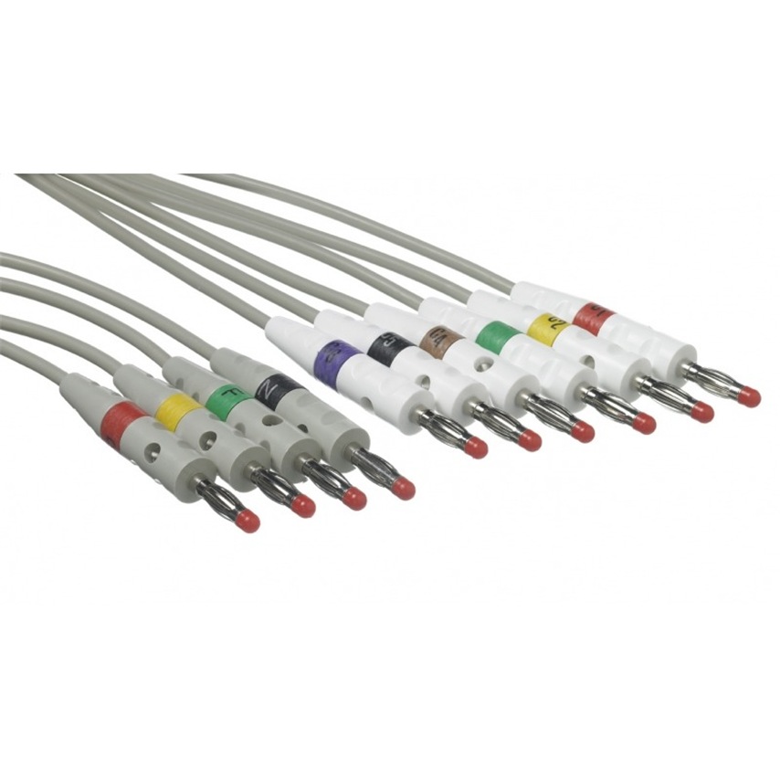 SECA 10 lead patient cable