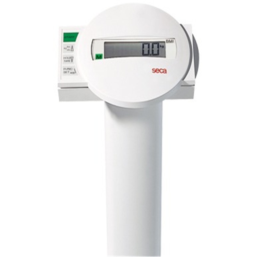 seca 799 Class (III) Digital Column Scale
